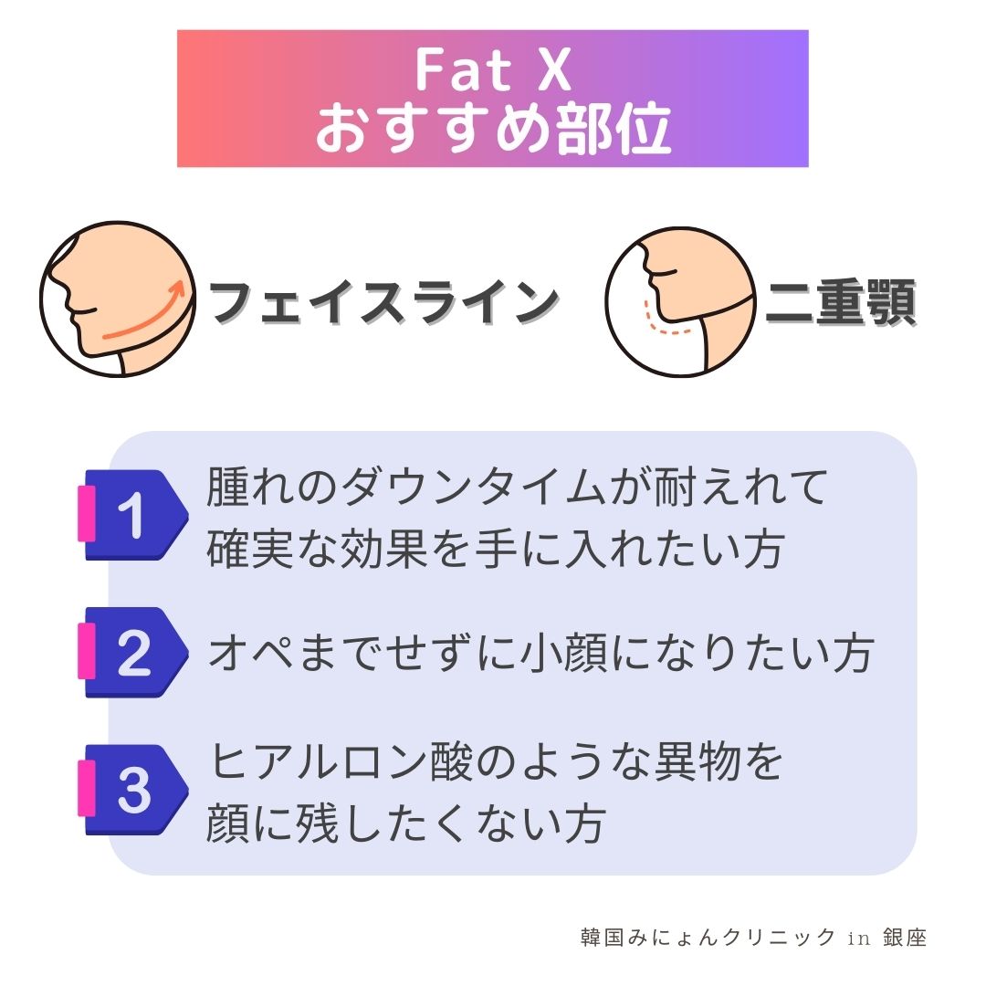 FatXダウンタイムについて - 韓国みにょんクリニック